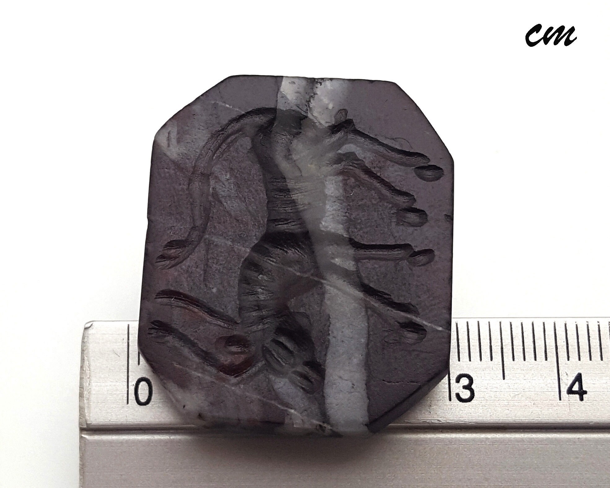 Very Rare Near Eastern BULL Intaglio Garnet Stone Unique Stamp #cp641c ...