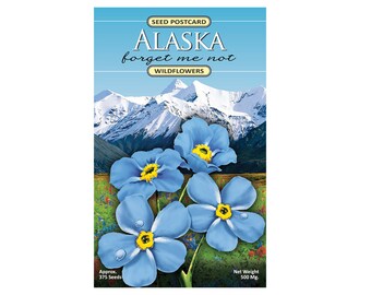 Alaska Forget Me Not | Etsy