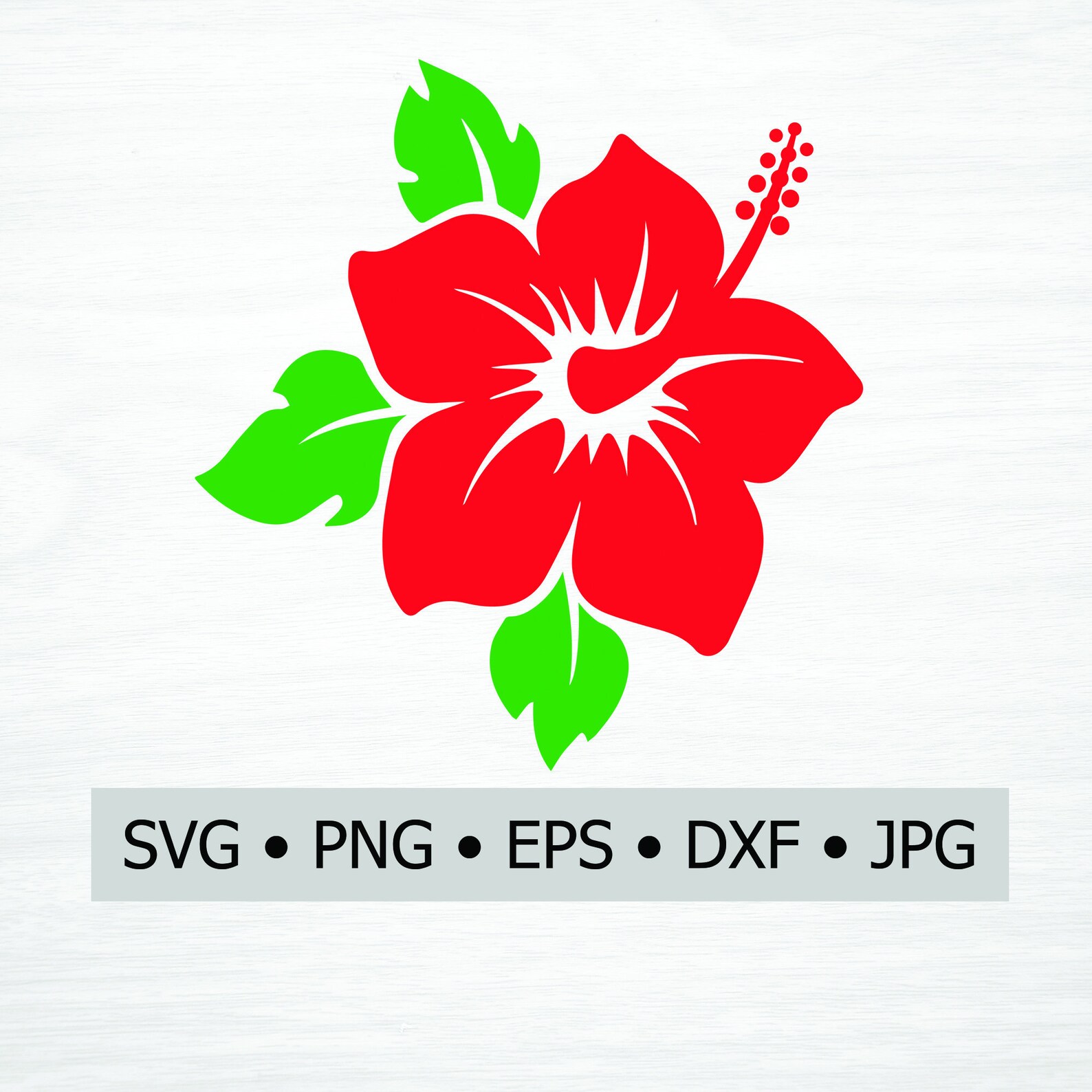 Hibiscus Flower SVG EPS PNG Jpg Dwg Digital Download / Digital | Etsy