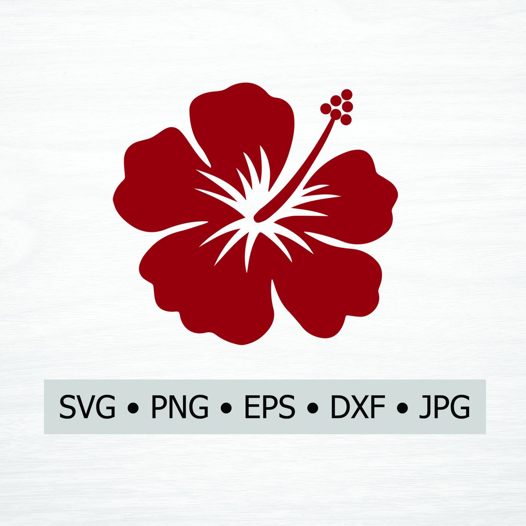 Hibiscus Flower SVG EPS PNG Jpg Dwg Digital Download / Digital Vector ...