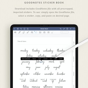 Essential Words & Phrases Digital Stickers - Sticker Book for Goodnotes ...
