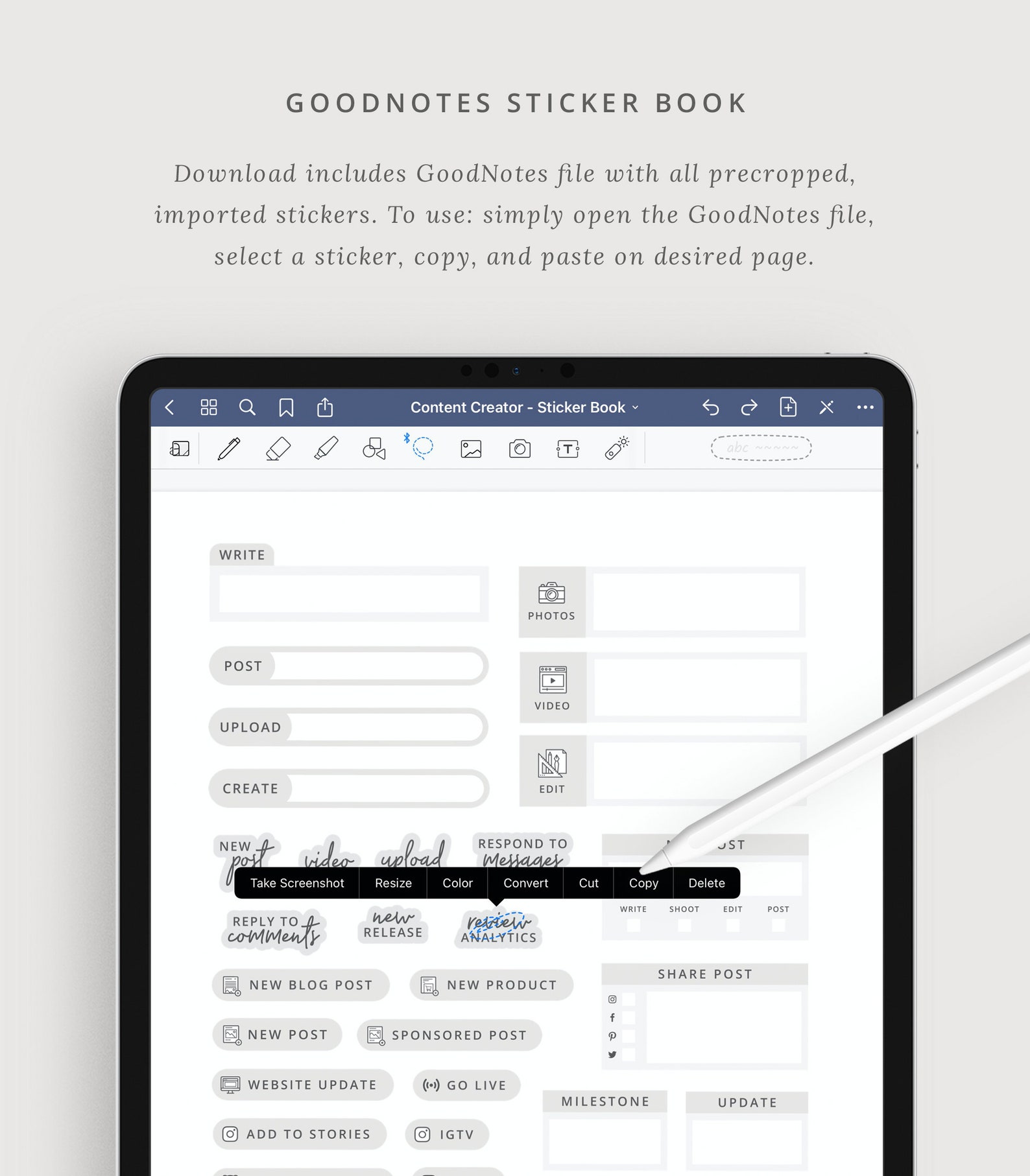 Content Creator Digital Stickers for Social Media Planning - Goodnotes ...
