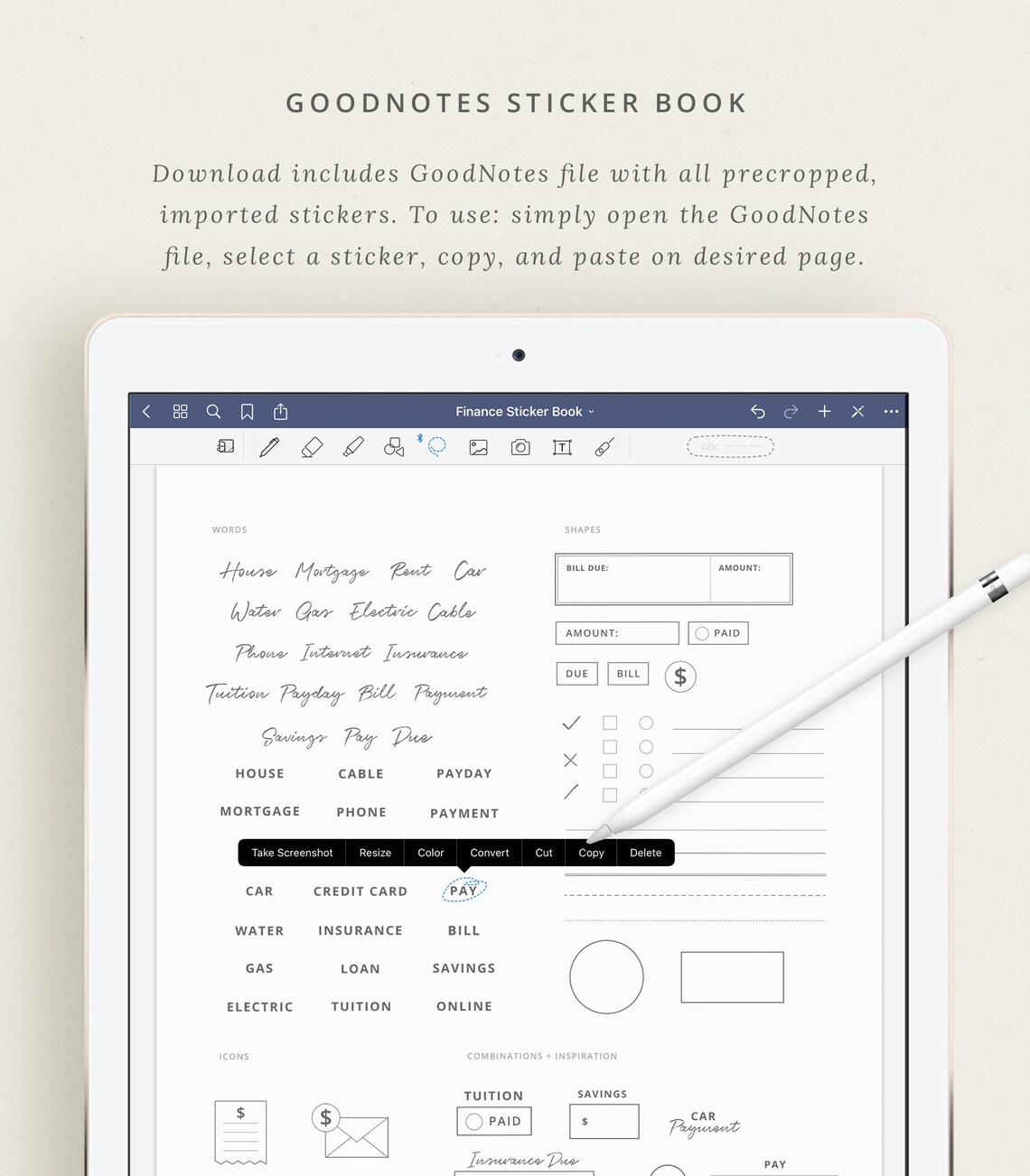 Finance Planner Stickers – Goodnotes, Notability, iPad (digital ...