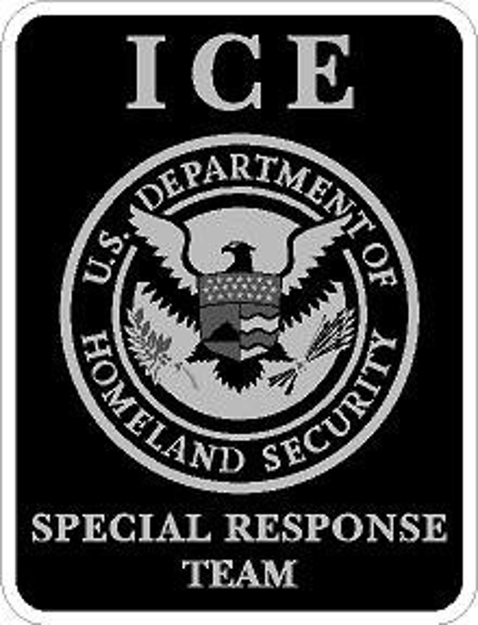 Special Response Team DHS Reflective or Matte Vinyl Decal Sticker ...