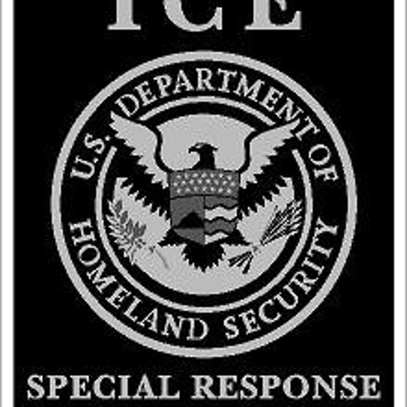 Ice Agents Uniform - Etsy