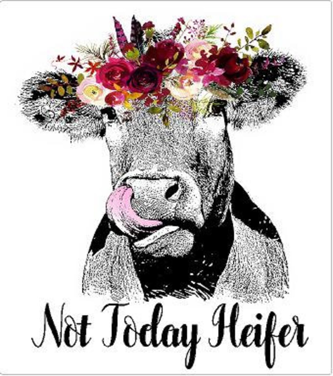 Not Today Heifer. Reflective or Matte Vinyl Decal Car Laptop Sticker or ...