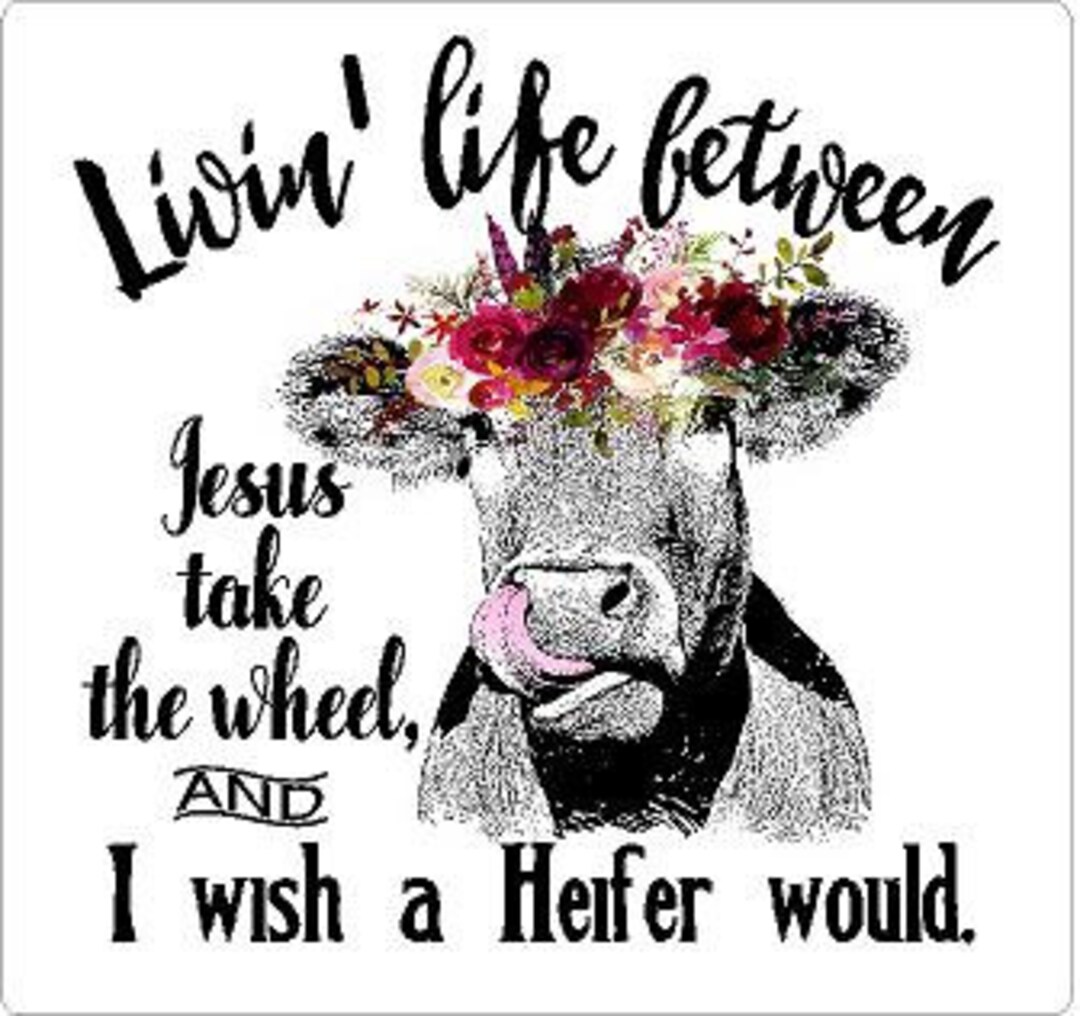 Livin' Life Between Jesus Take the Wheel and I Wish a Heifer Would ...