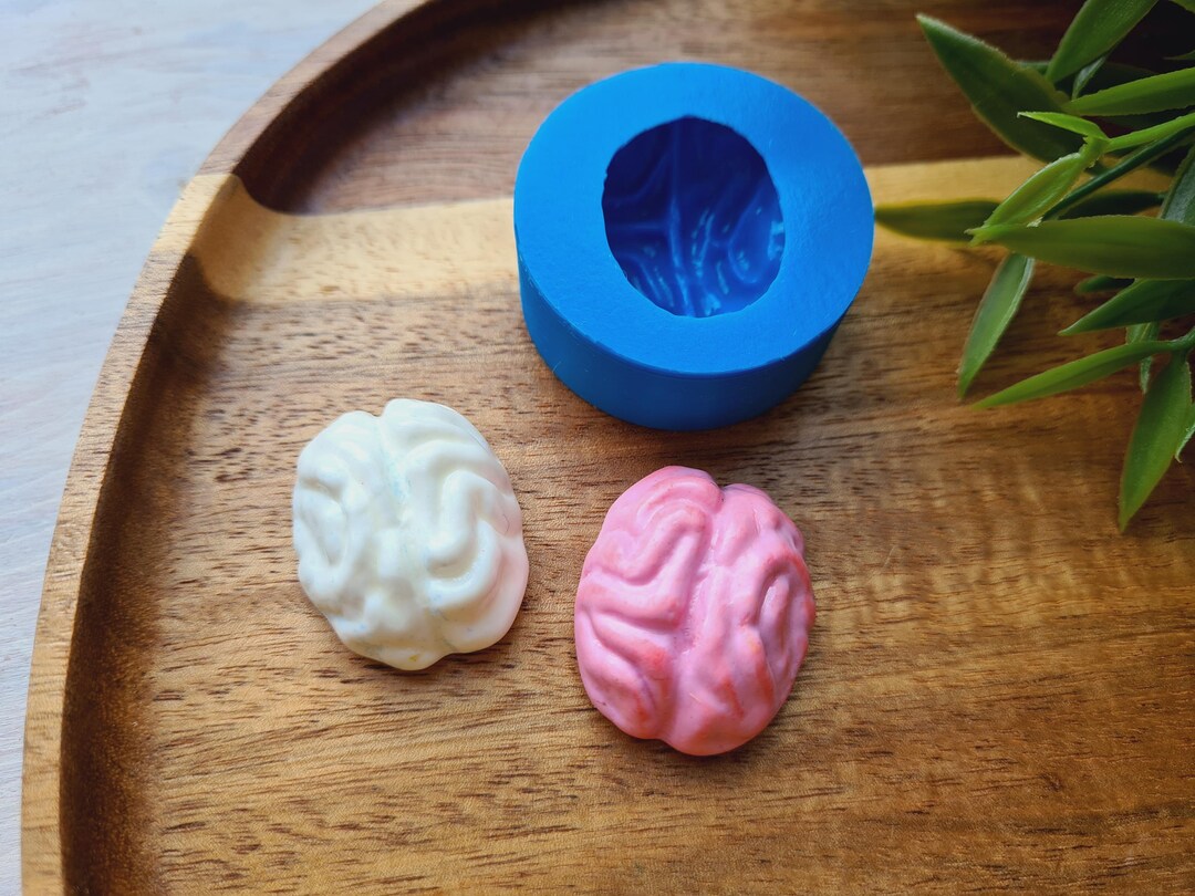 Silicone Mold of Brain, ~ 2.5*3 Cm, H:1.2 Cm, Modeling Tool for ...