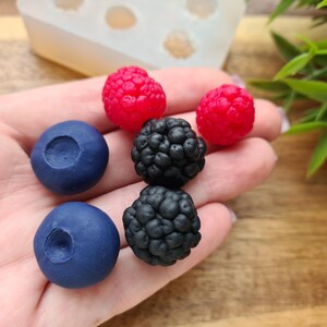 Silicone Mold of Berries Mix, 6 Elements, Raspberry, Blackberry ...