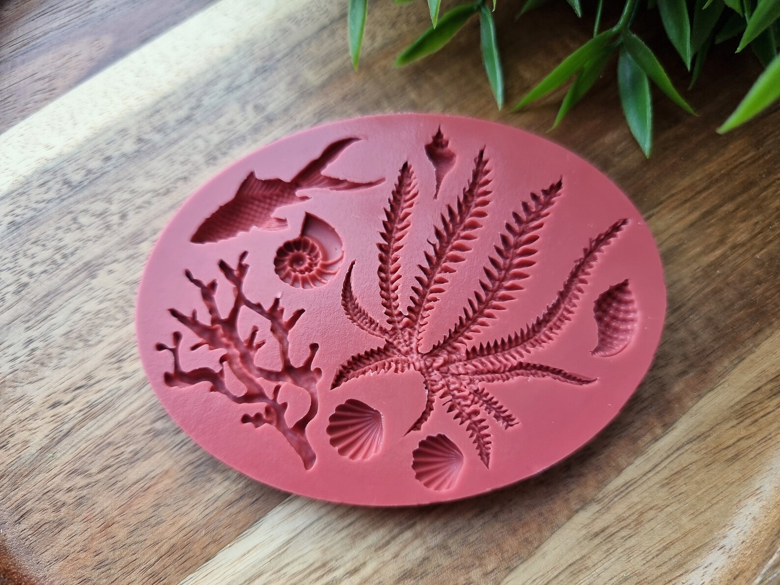 Silicone Mold of Sea Life Set, Style 4, 8 Elements, ~ 0.5-5.7 Cm, H:0.2 ...