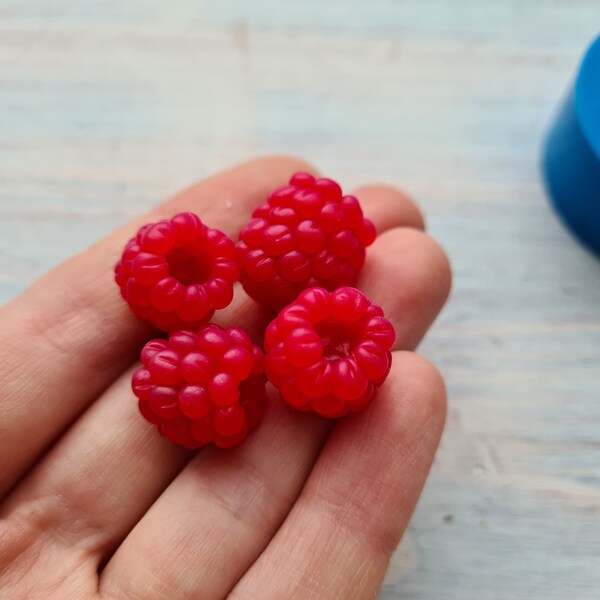 Raspberry Decor - Etsy