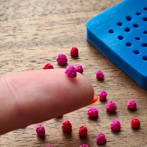 Silicone Mold of Raspberry, Style 1, Miniature 1:12, 30 Elements, ~ Ø 0 ...