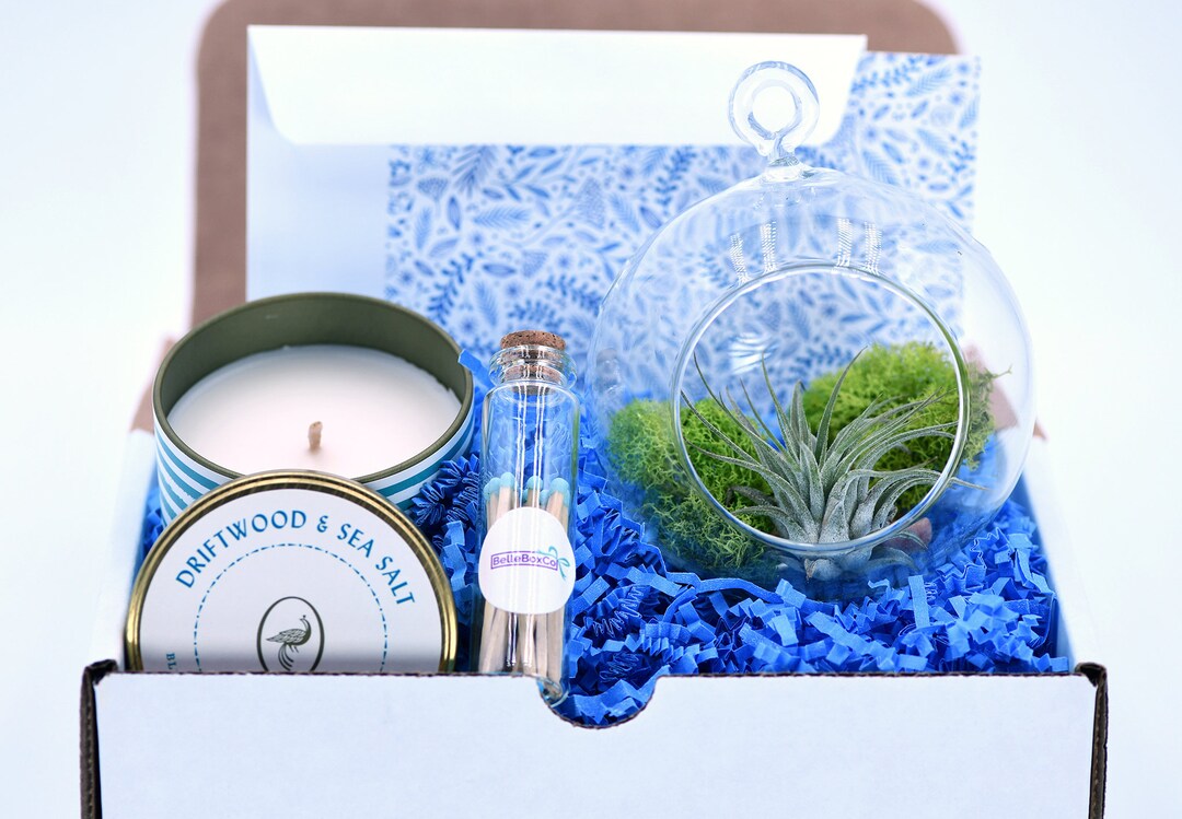 Air Plant Gift Box, Plant Gift, Thinking of You, Birthday Gift Box ...