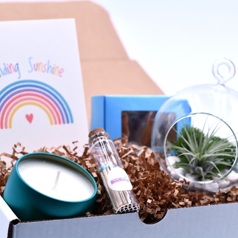 Air Plant Gift - 60+ Gift Ideas for 2024