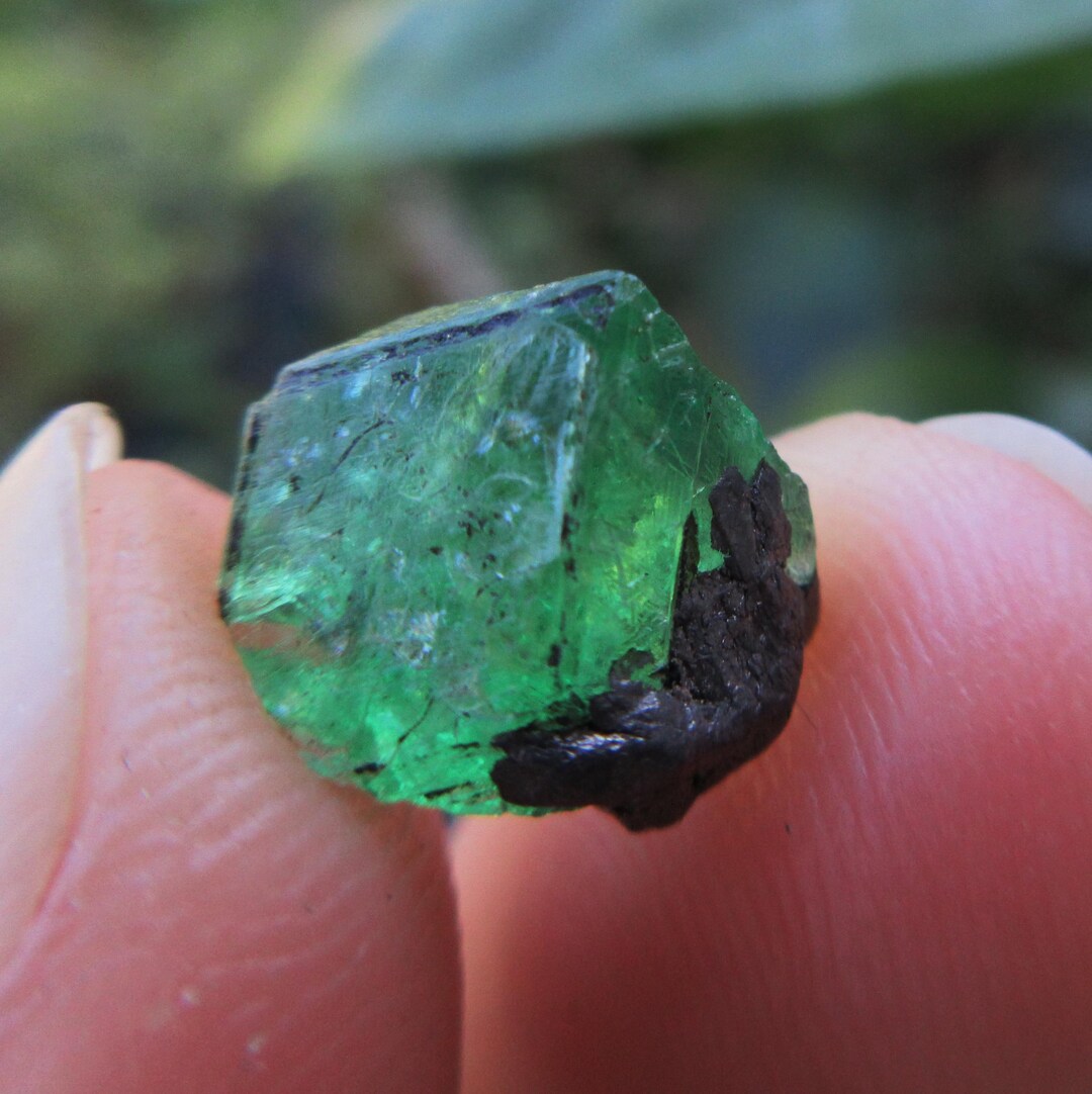 Green Garnet Tsavorite Partial Crystal in Graphite Mineral Specimen. - Etsy