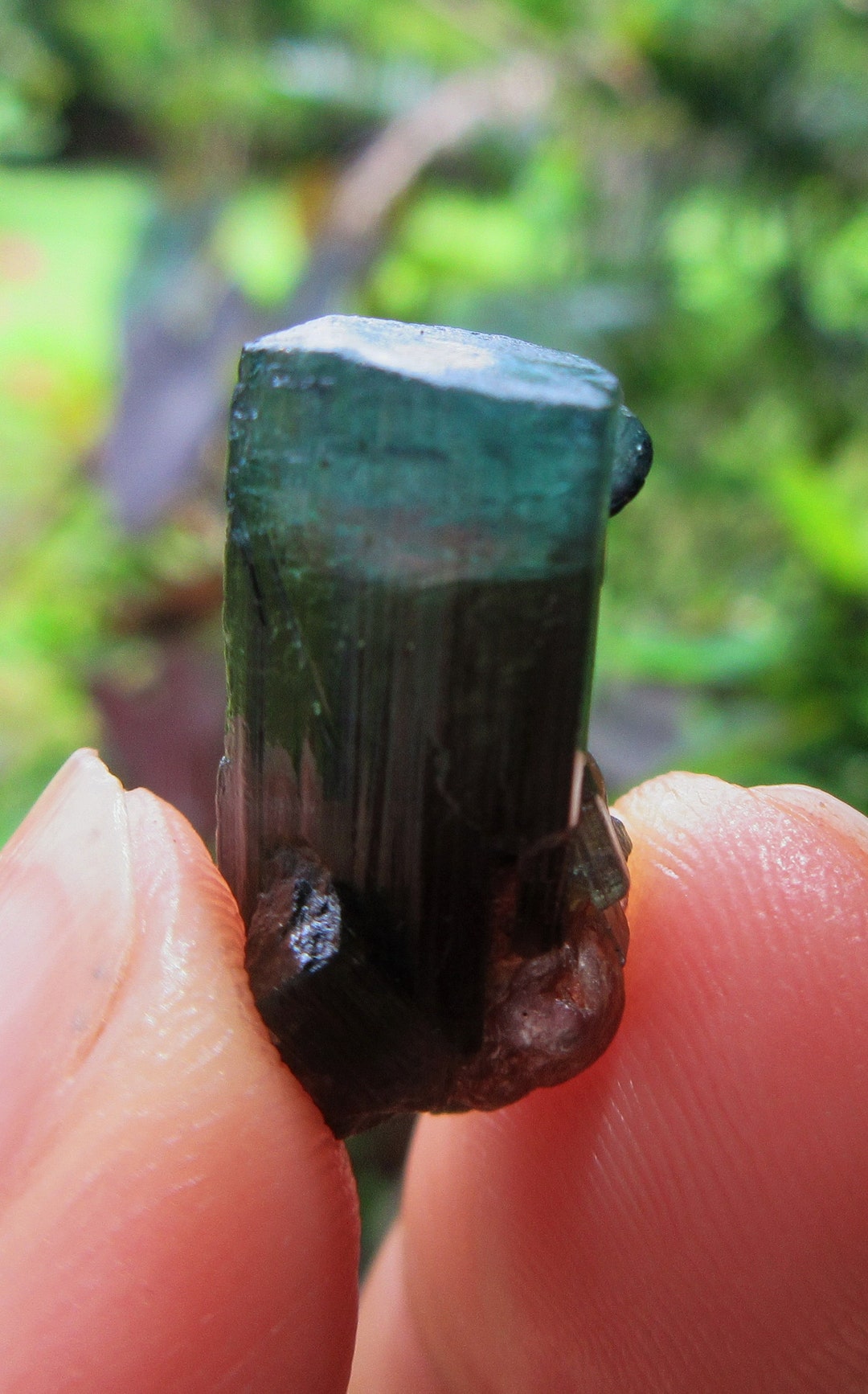 Green to Blue Tourmaline Crystal Piece. Rare Clarity. - Etsy