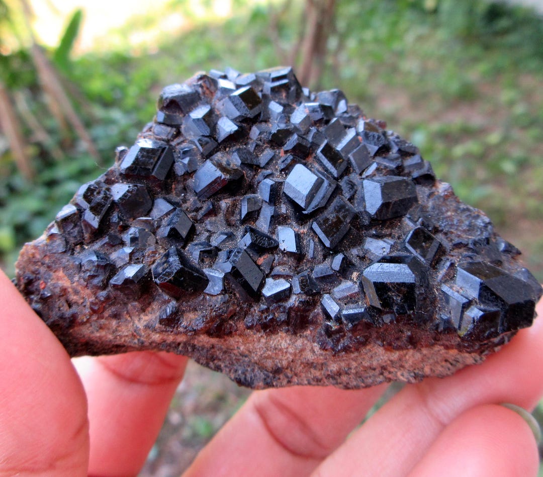Melanite Andradite Garnet Crystals in Epidote Specimen. 2.9 Inches Long ...