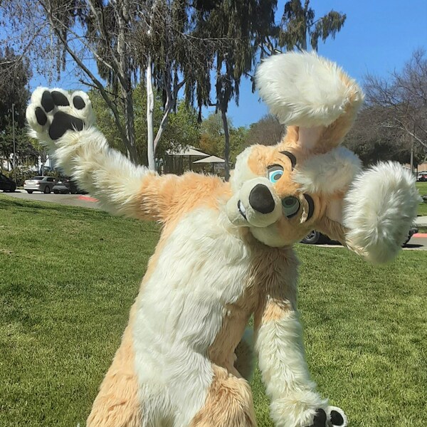 Full Body Fursuit - Etsy