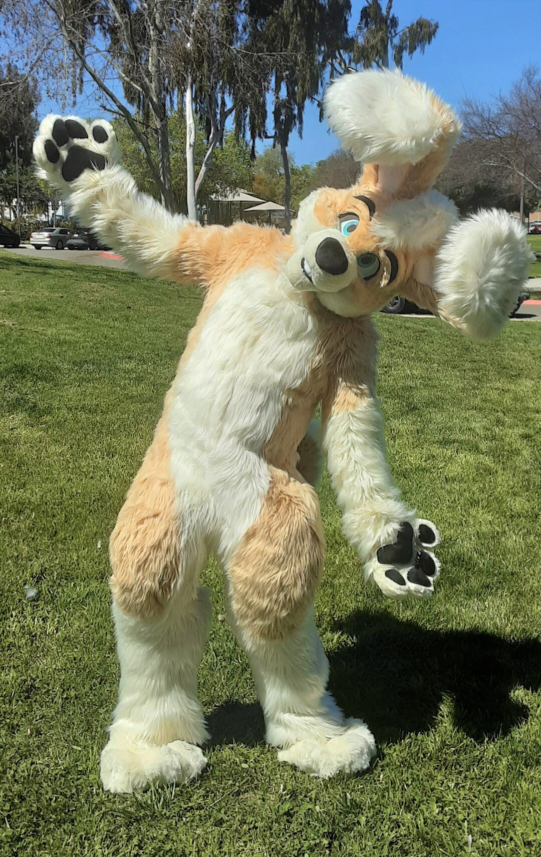 Canine Digitigrade Fursuit - Etsy