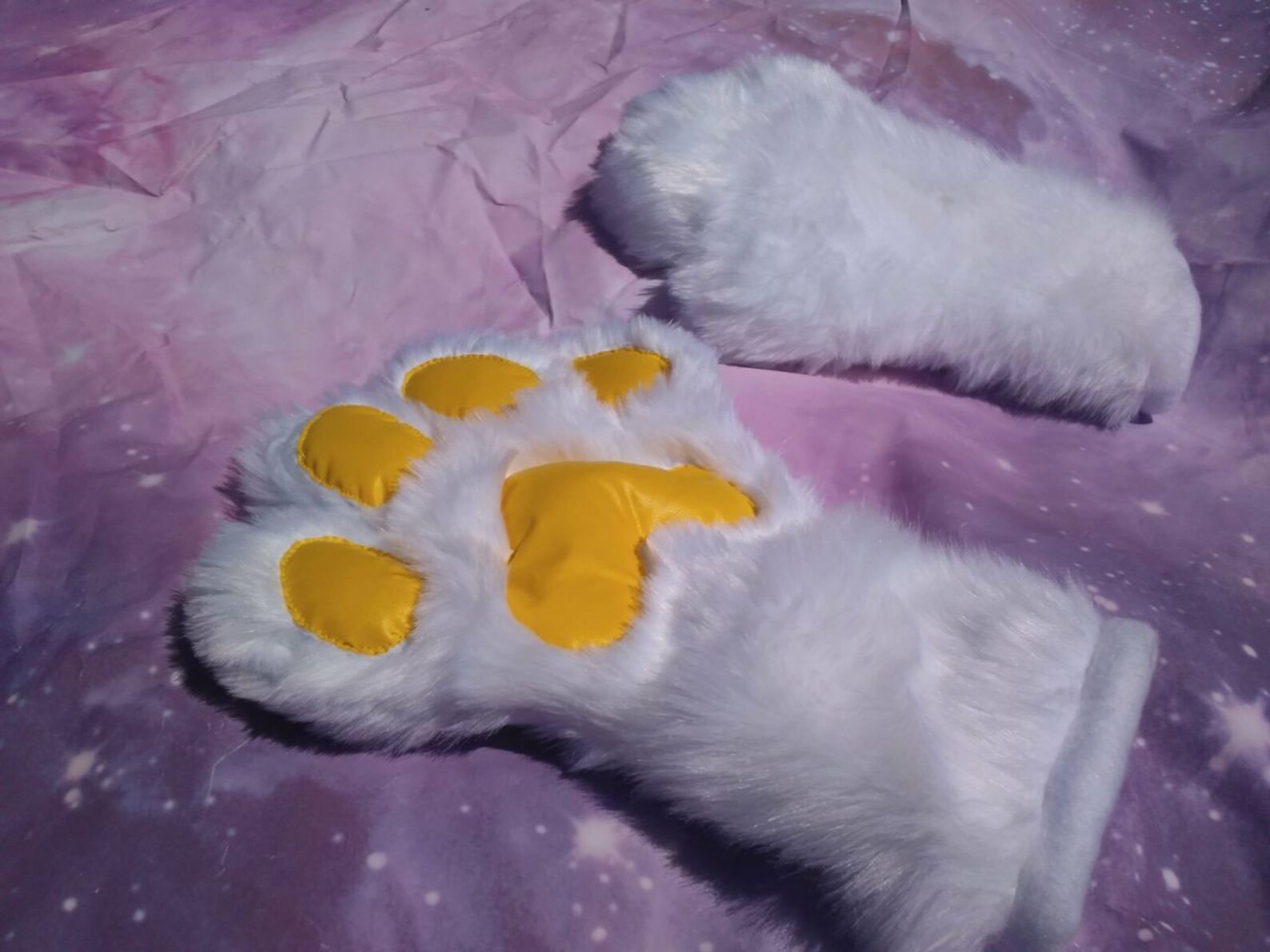 Star Paws - Etsy