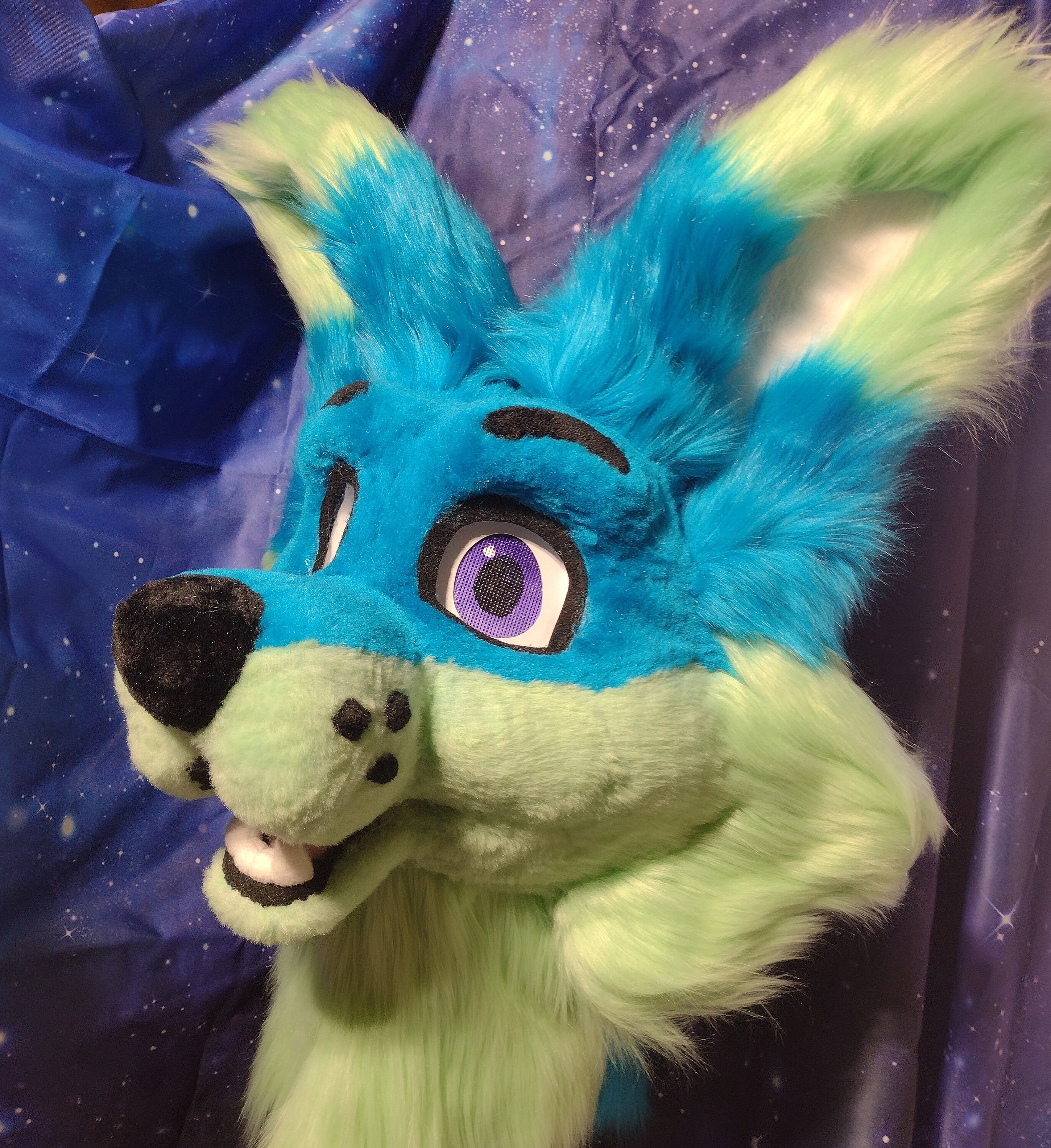Blue Doggo Partial Fursuit - Etsy