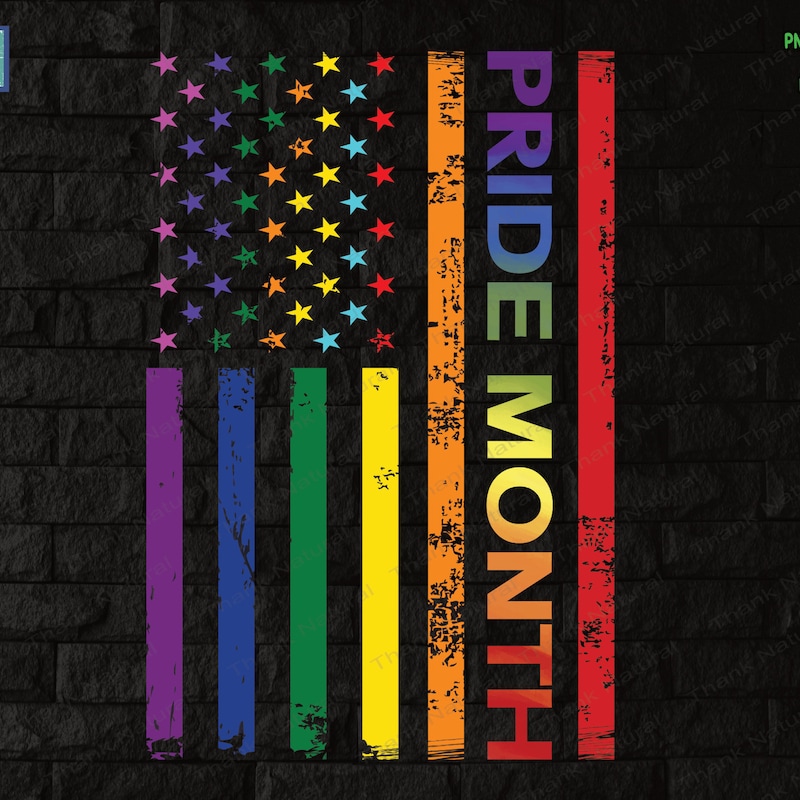 Pride American Flag - Etsy