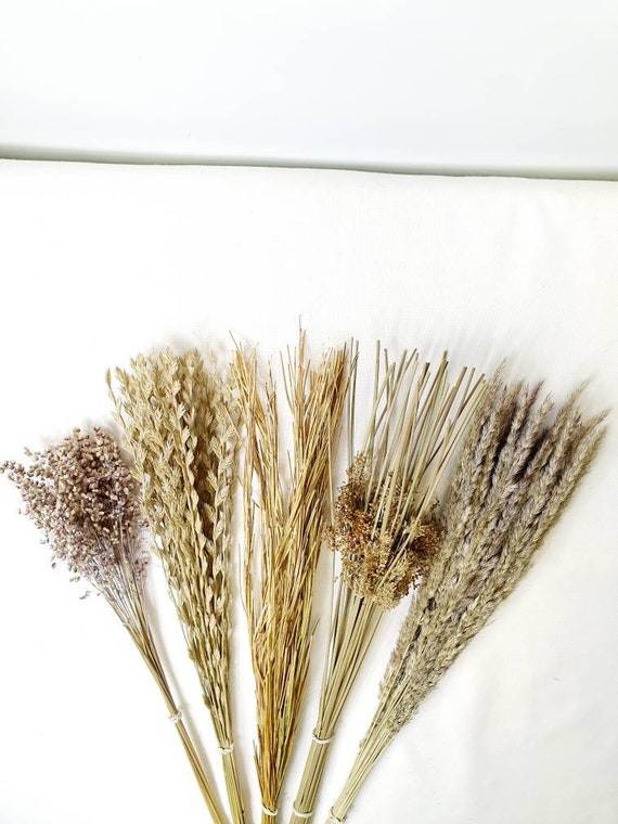 Home & Hobby Floral & Garden Crafts Set off 5 grass 40 cm decorative ...