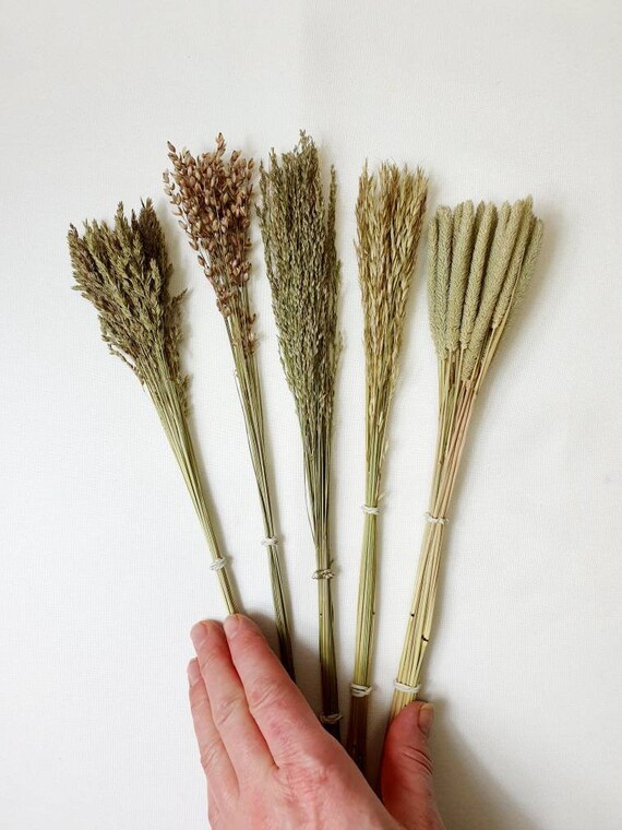 Home & Hobby Set of 5 grass 34 cm decorative natural dried grasses ...