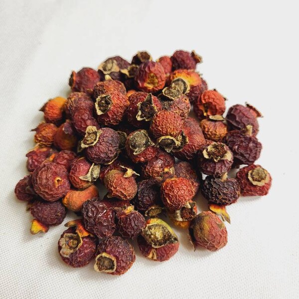 Rose Hip - Etsy
