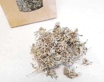 Wormwood Organic Artemisia Absinthium - Etsy