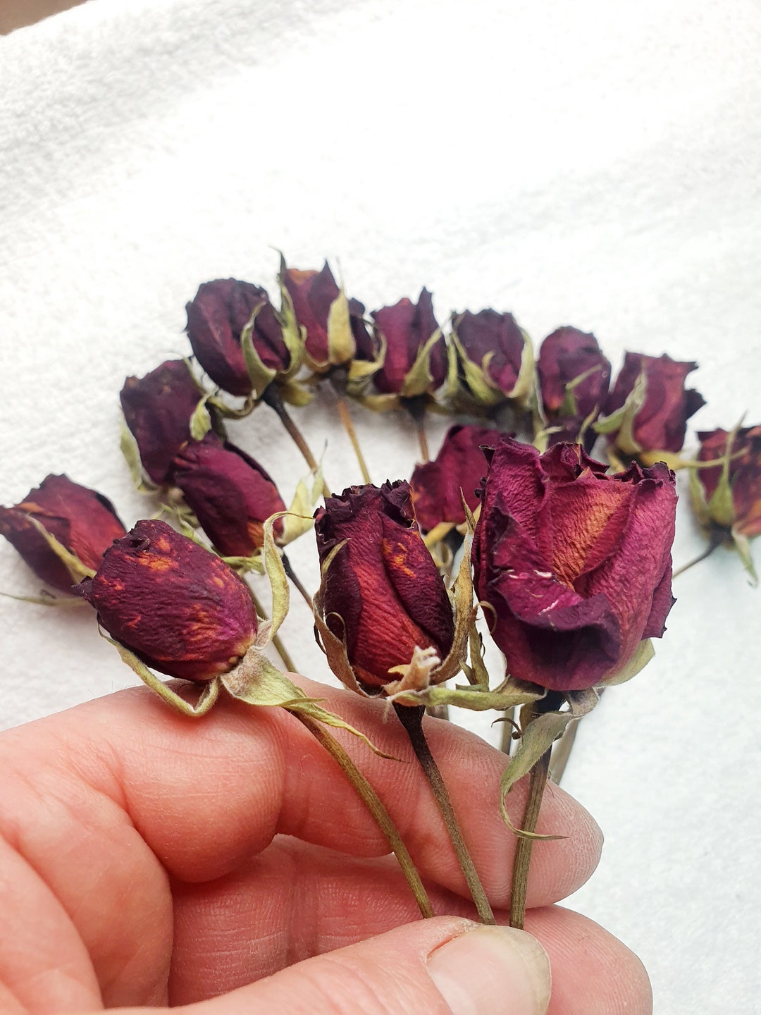 15pcs 13cm Dried Real Rose Flower Heads With Stems - Etsy