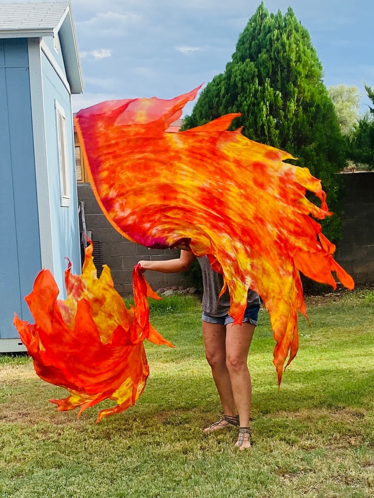 Consuming Fire Worship Flags (double Layer) - Etsy