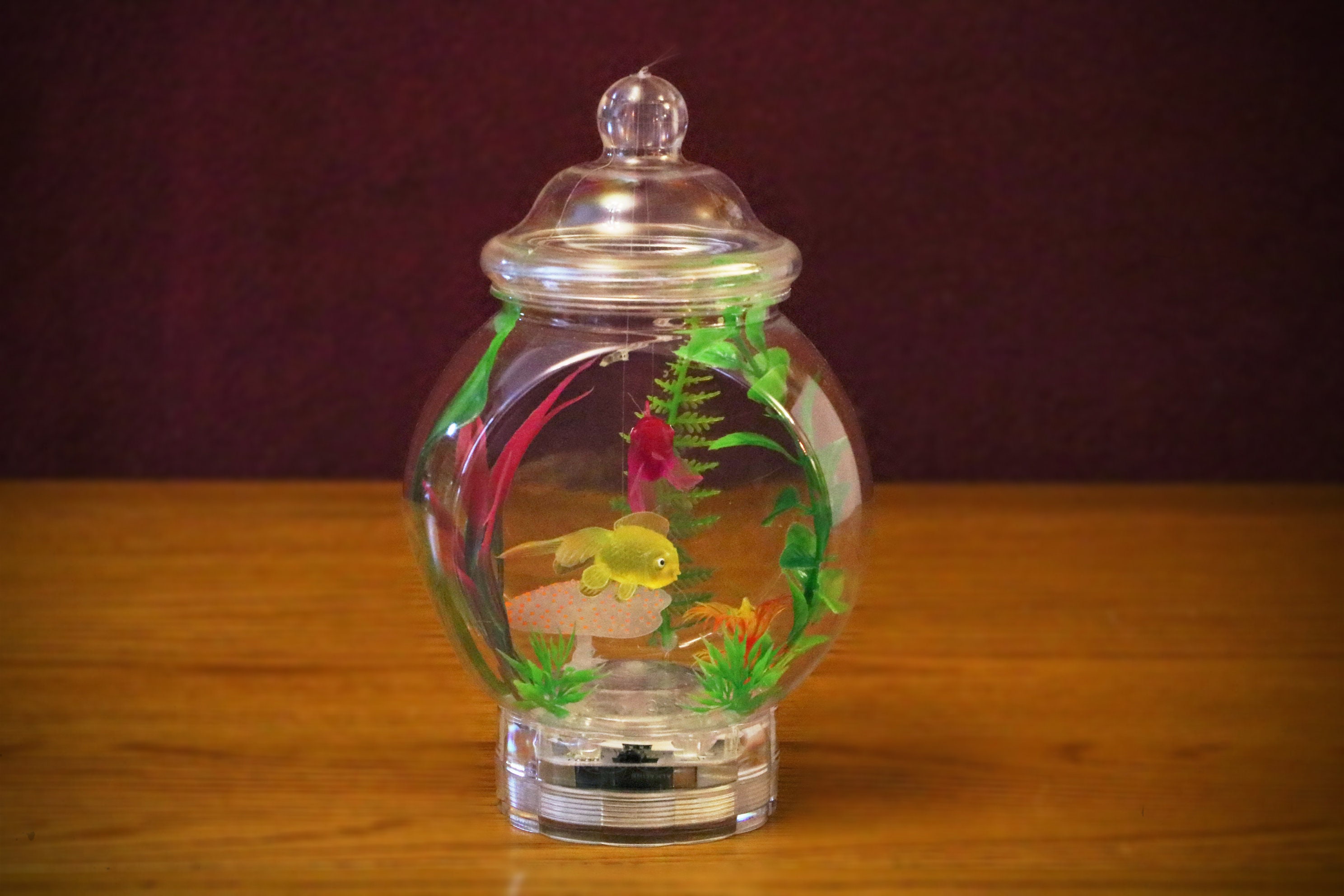 Fish-bowl Lamp: Tropical Edition - Etsy