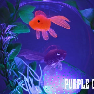 Fish-bowl Lamp: Goldfish Edition - Etsy UK