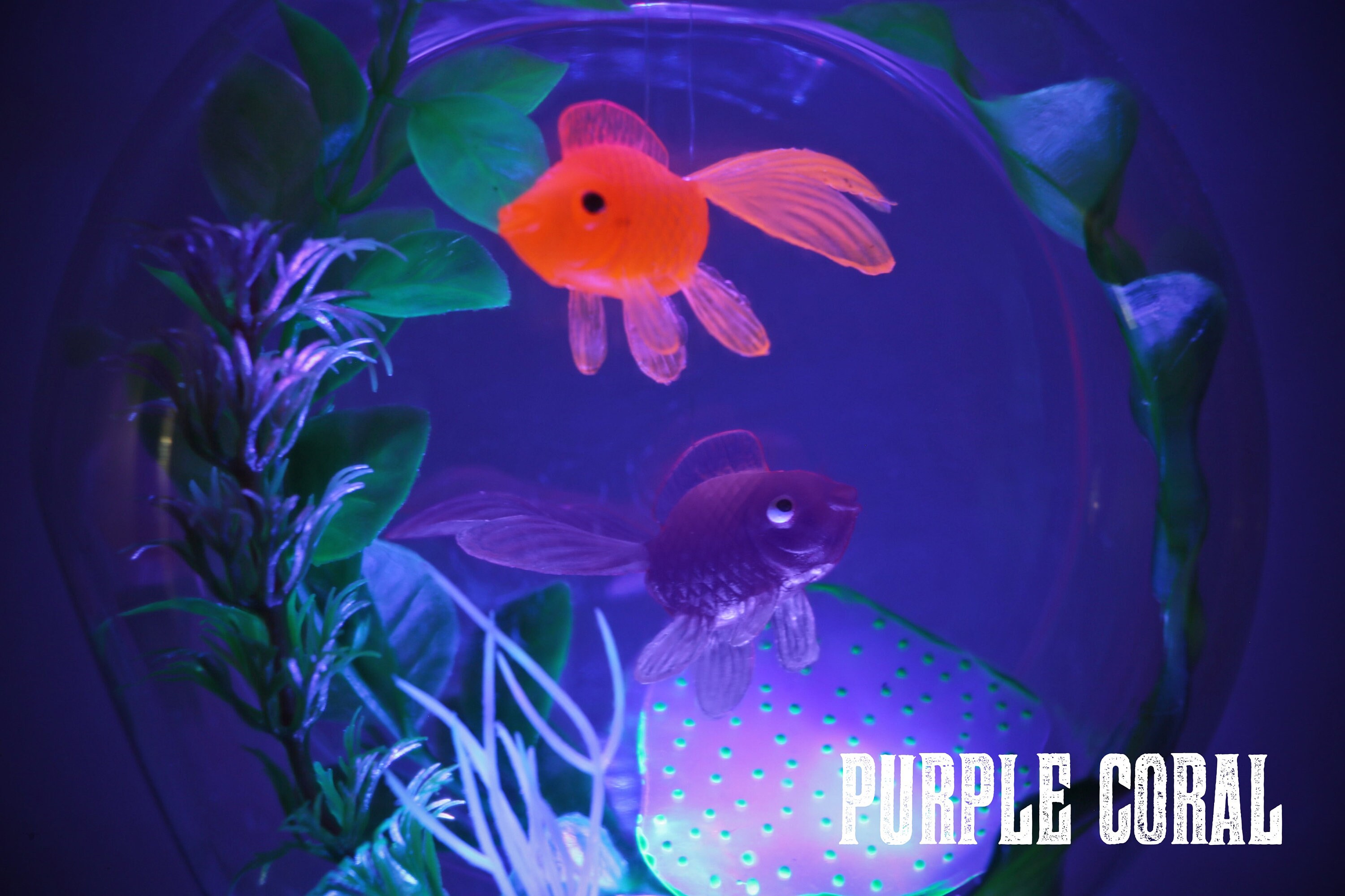 Fish-bowl Lamp: Goldfish Edition - Etsy UK