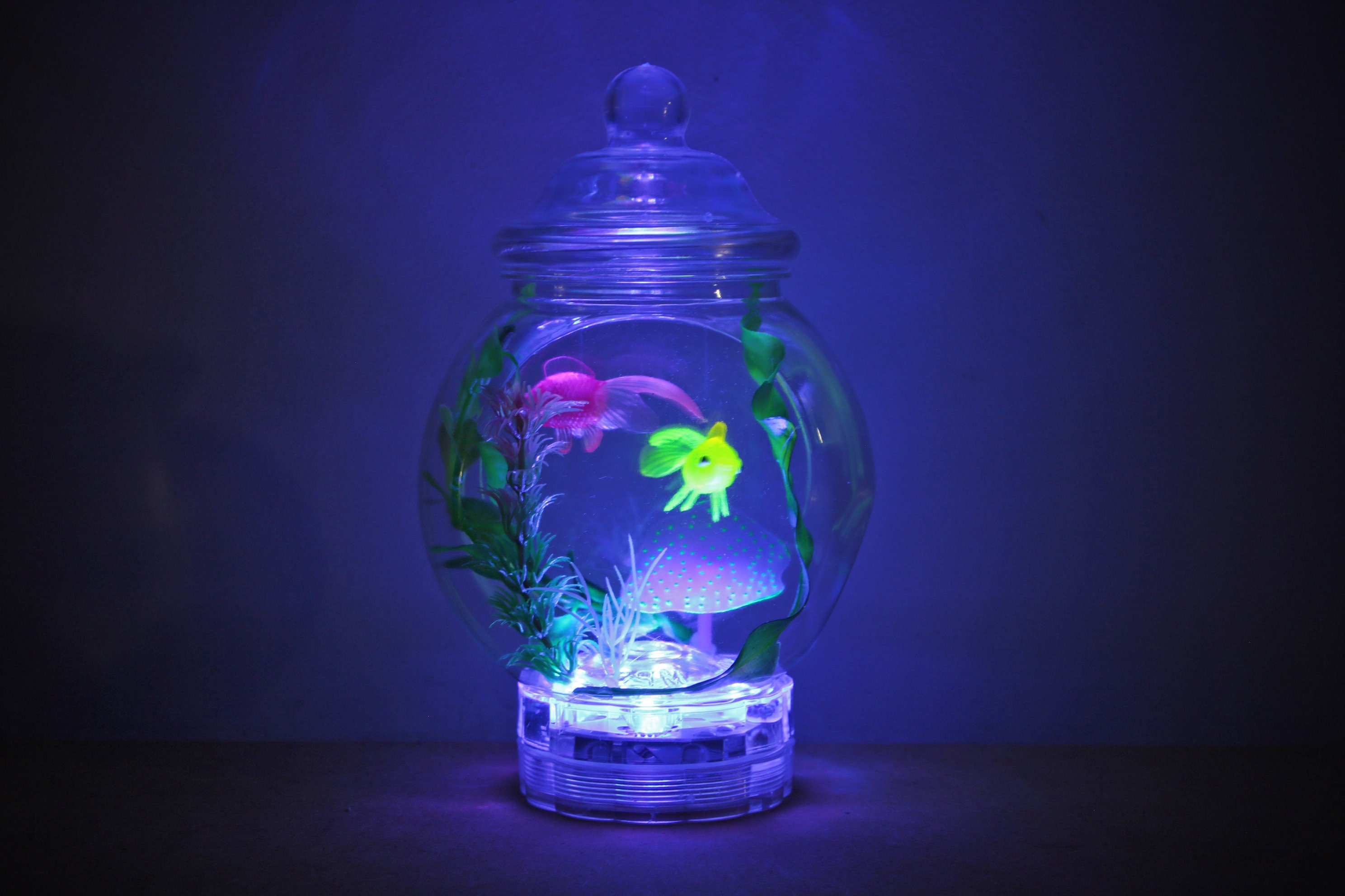 Fish-Bowl Lamp: Tropical Edition | Etsy