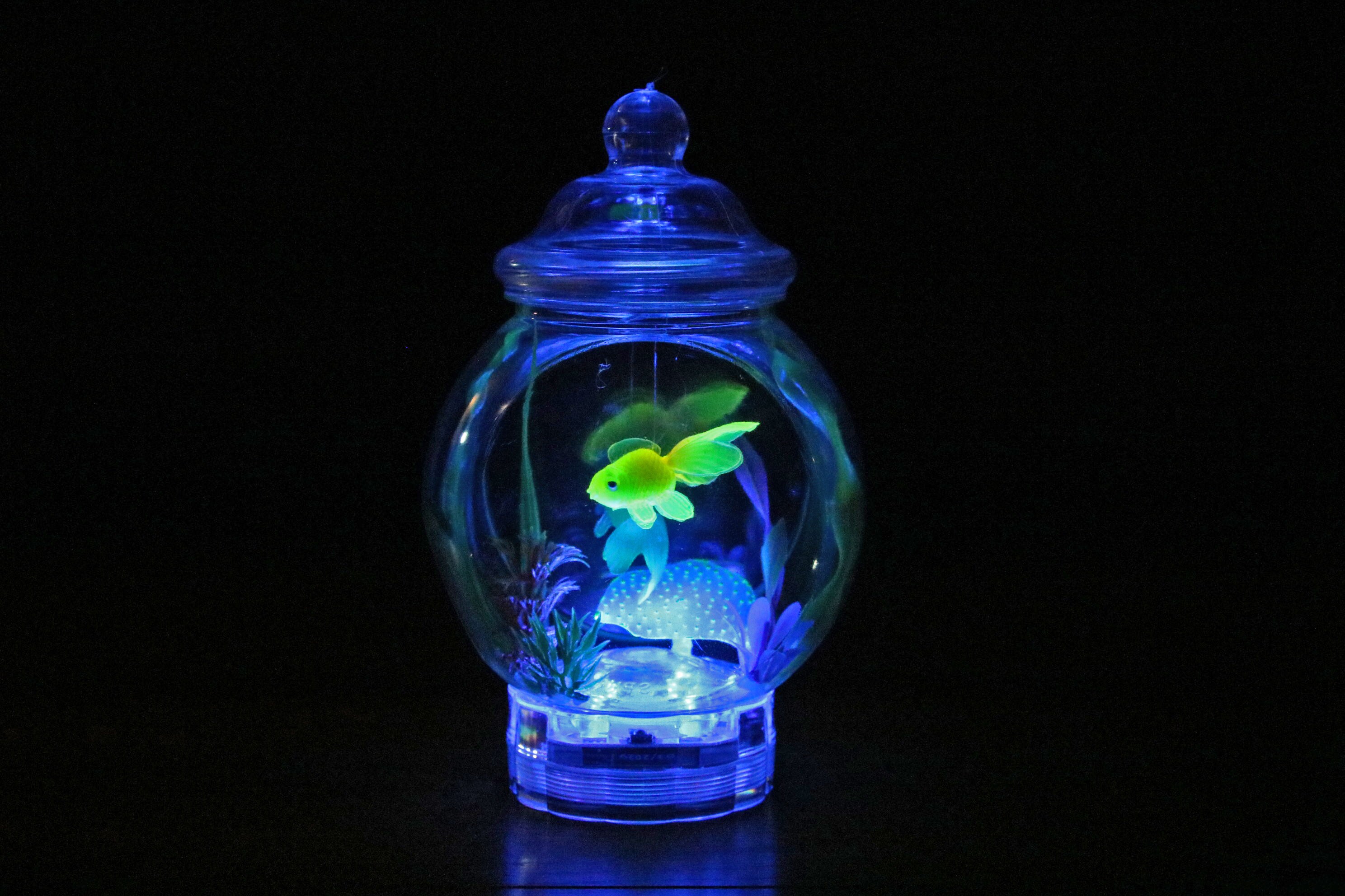 Fish-bowl Lamp: Tropical Edition - Etsy