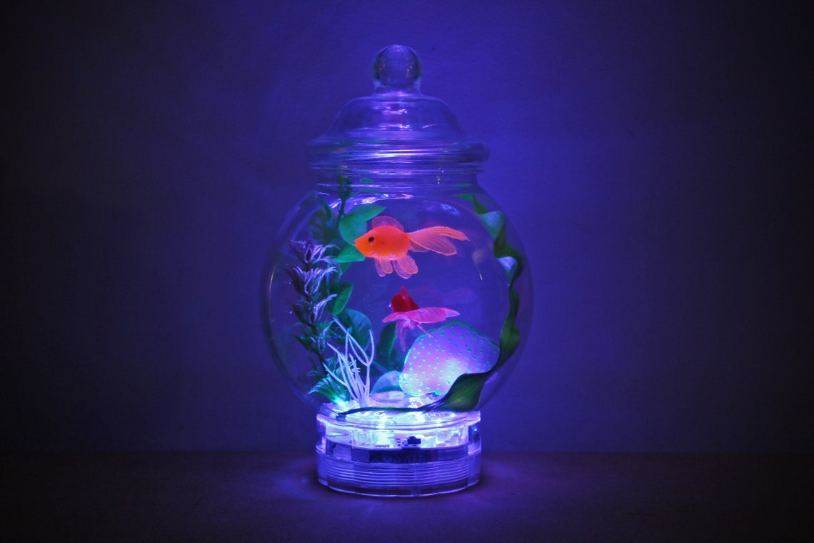 Fish-Bowl Lamp: Goldfish Edition | Etsy