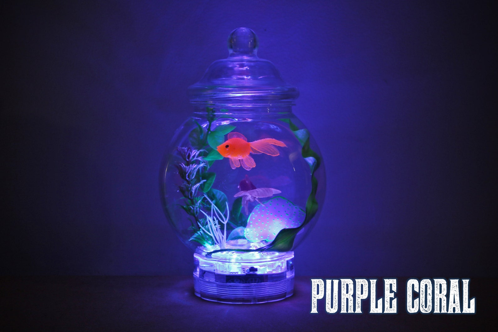 Fish-bowl Lamp: Goldfish Edition - Etsy UK