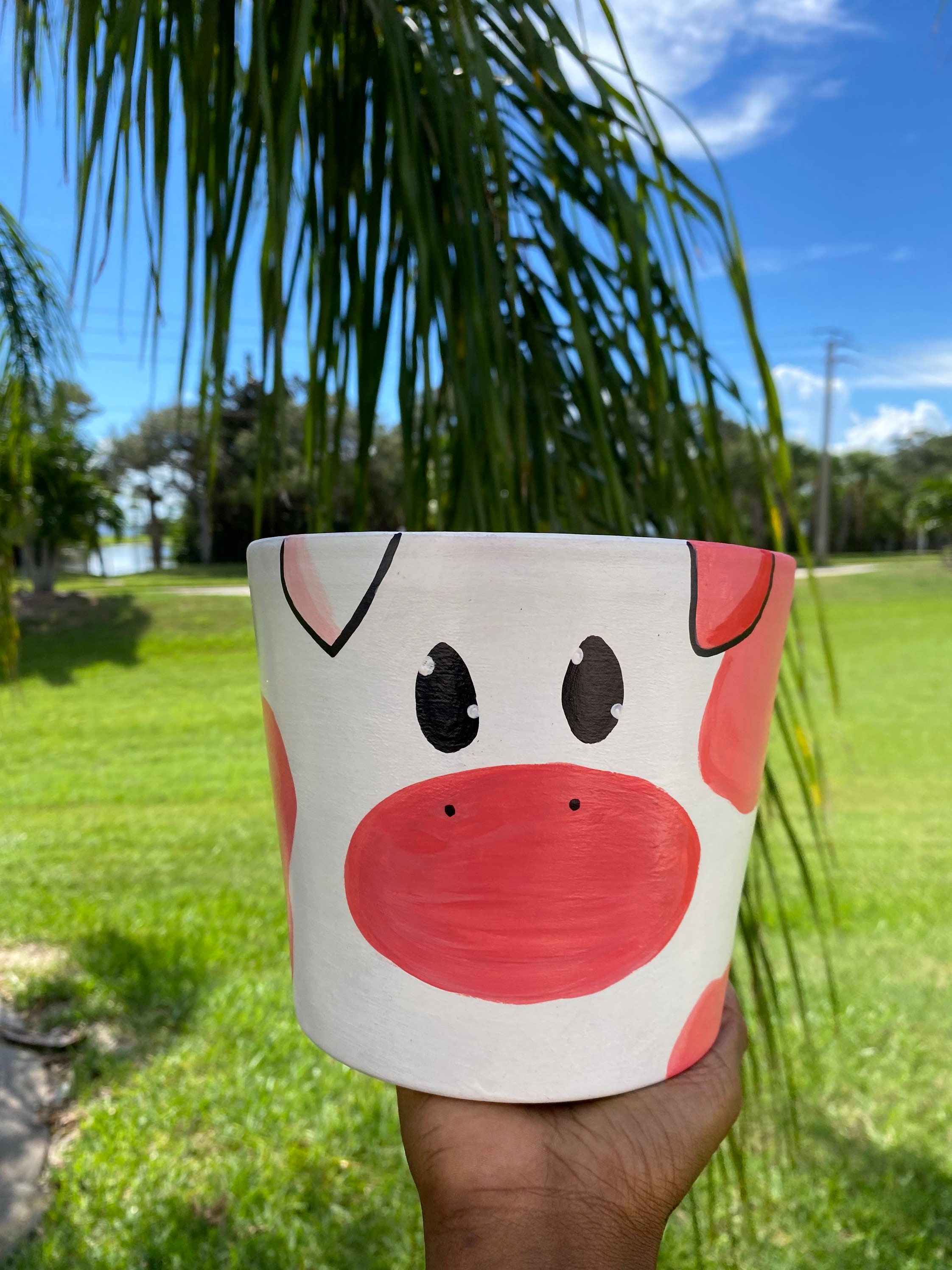 Painted Planters, 6 Inch Plant Pot, Ceramic Planter With Drainage, 8 ...