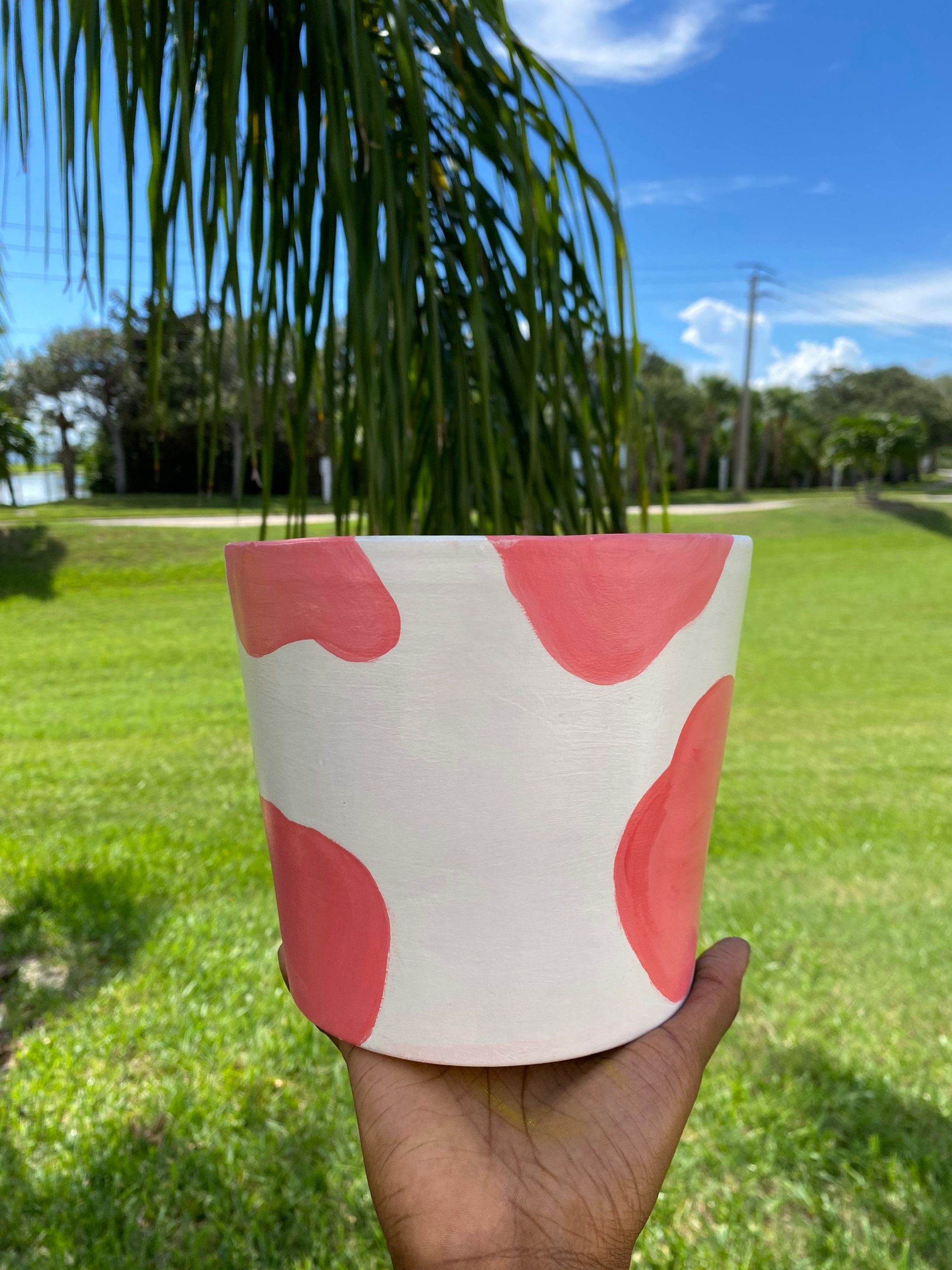 Painted Planters, 6 Inch Plant Pot, Ceramic Planter With Drainage, 8 ...