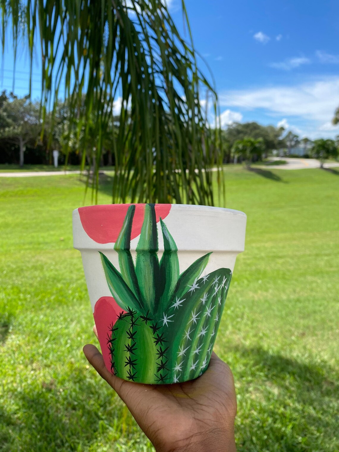 Painted Planters, 6 Inch Plant Pot, Ceramic Planter With Drainage, 8 ...