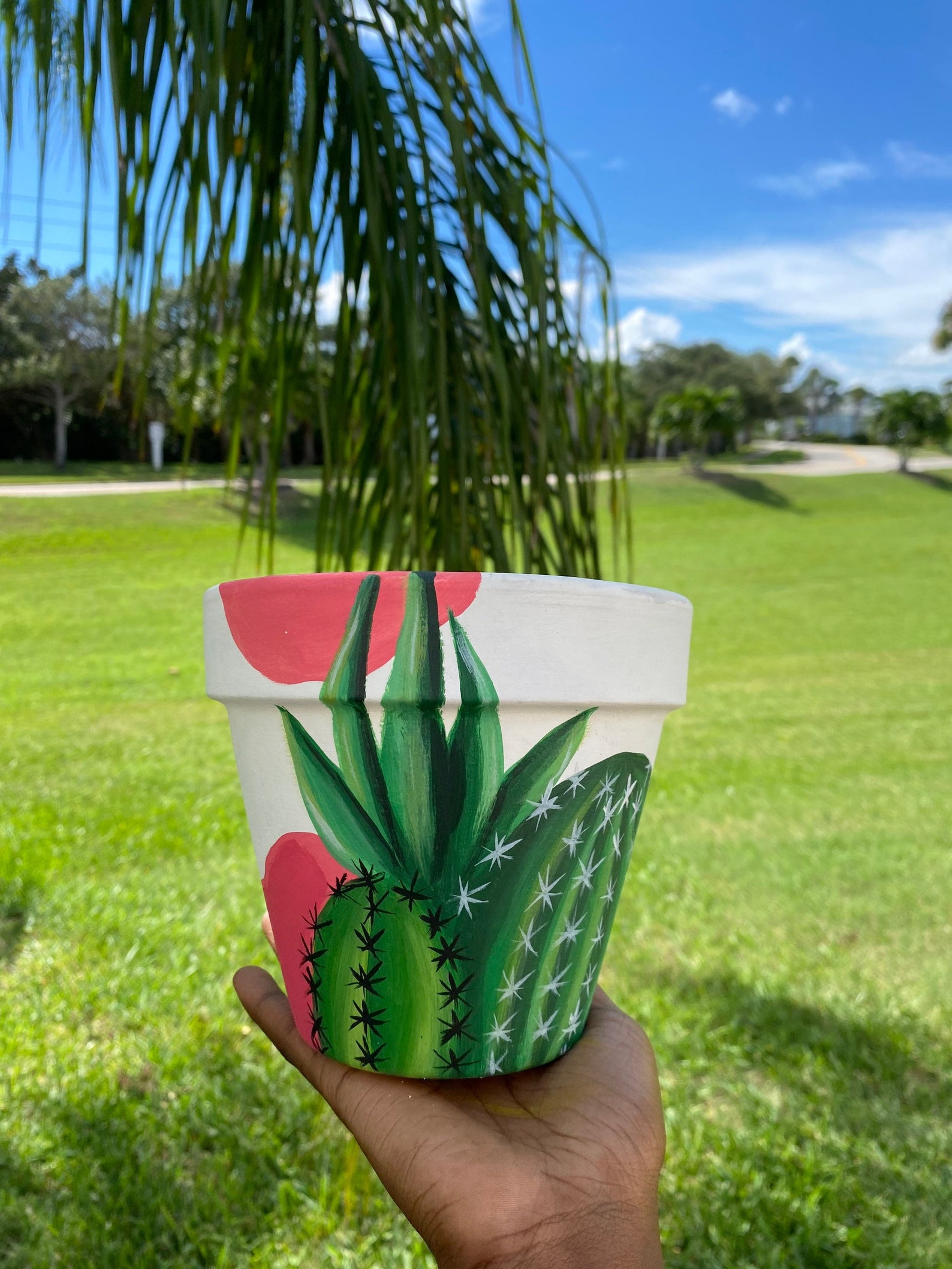 Painted Planters, 6 Inch Plant Pot, Ceramic Planter With Drainage, 8 ...