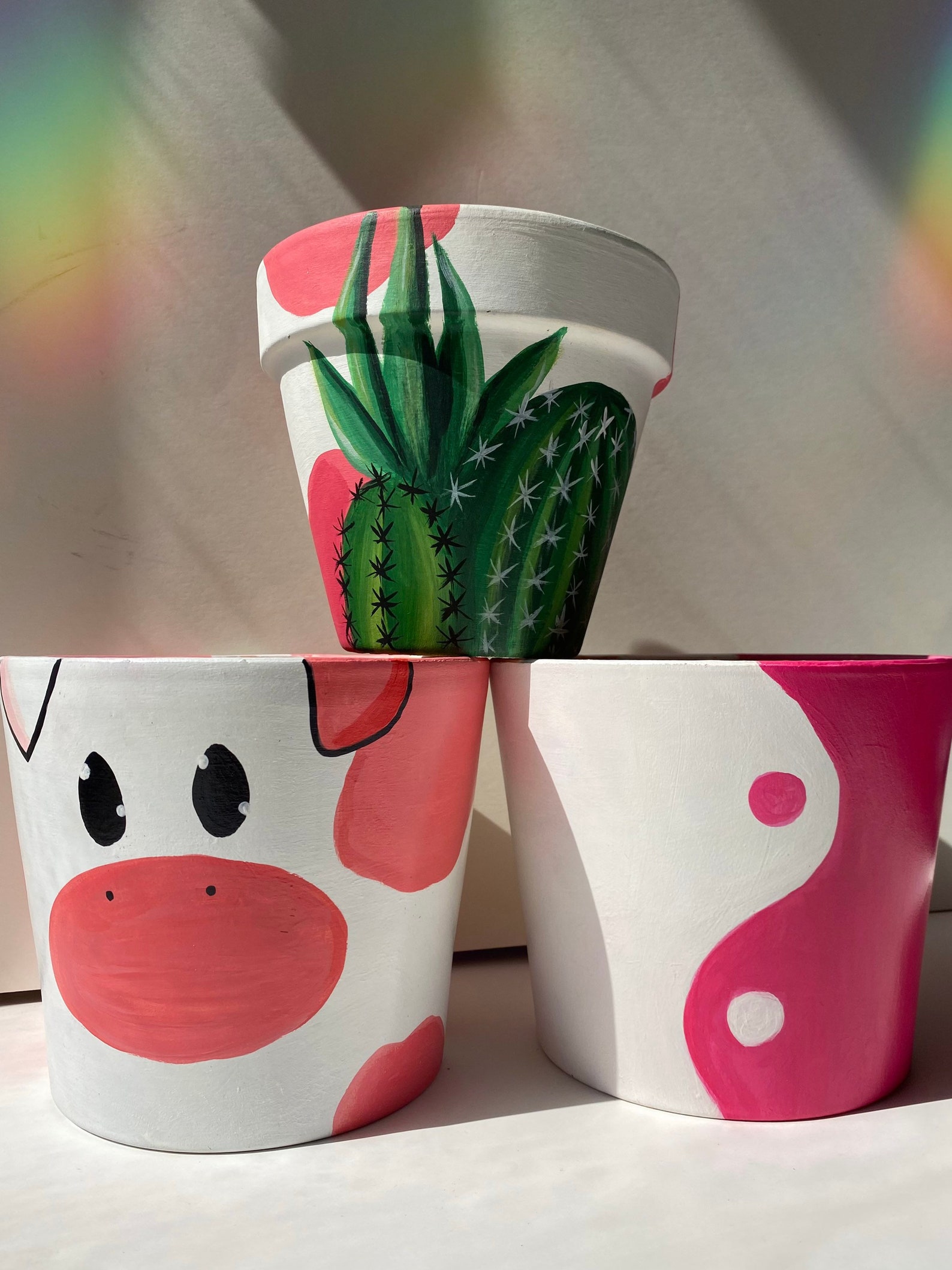 Painted Planters, 6 Inch Plant Pot, Ceramic Planter With Drainage, 8 ...