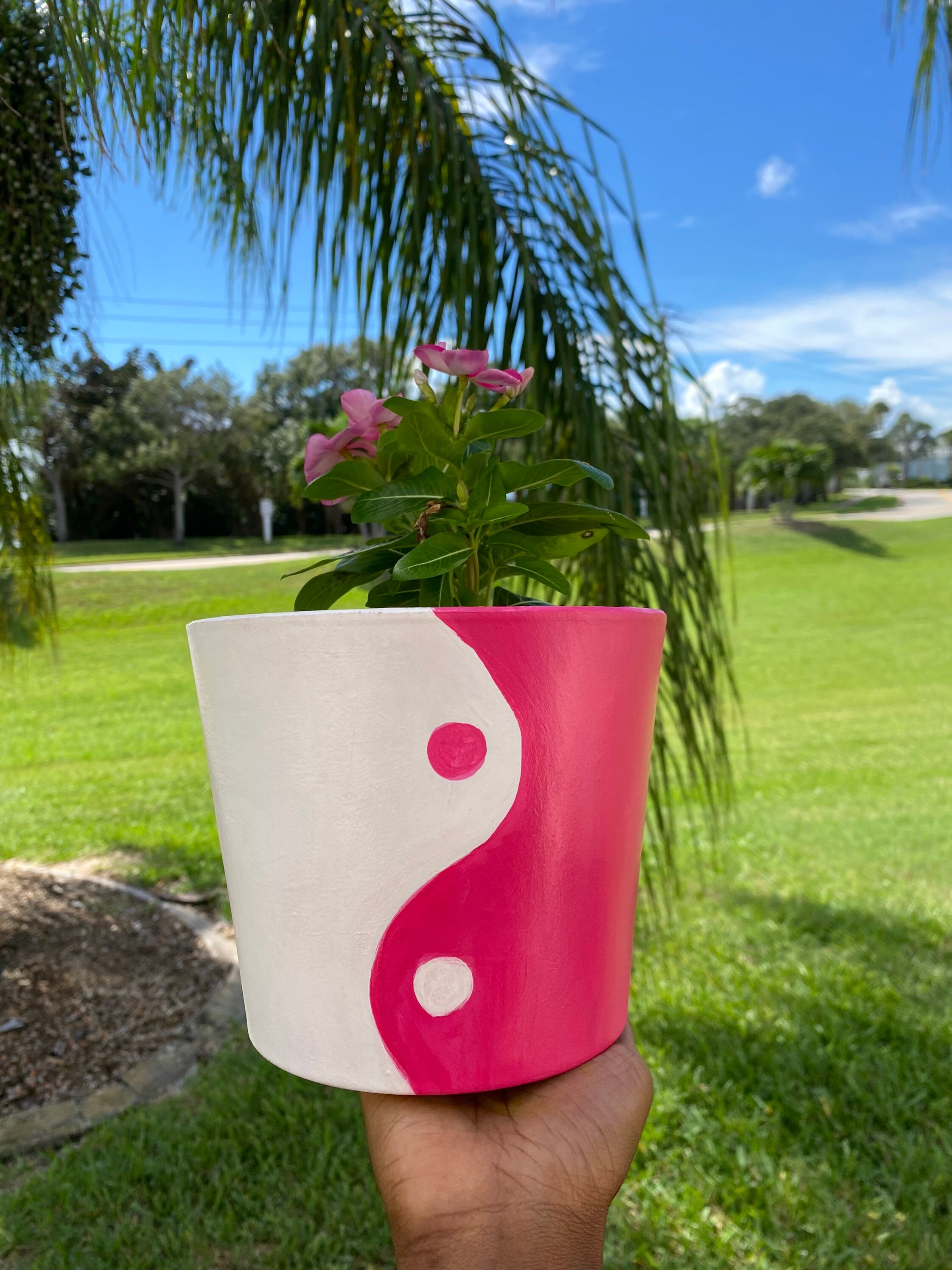 Painted Planters, 6 Inch Plant Pot, Ceramic Planter With Drainage, 8 ...