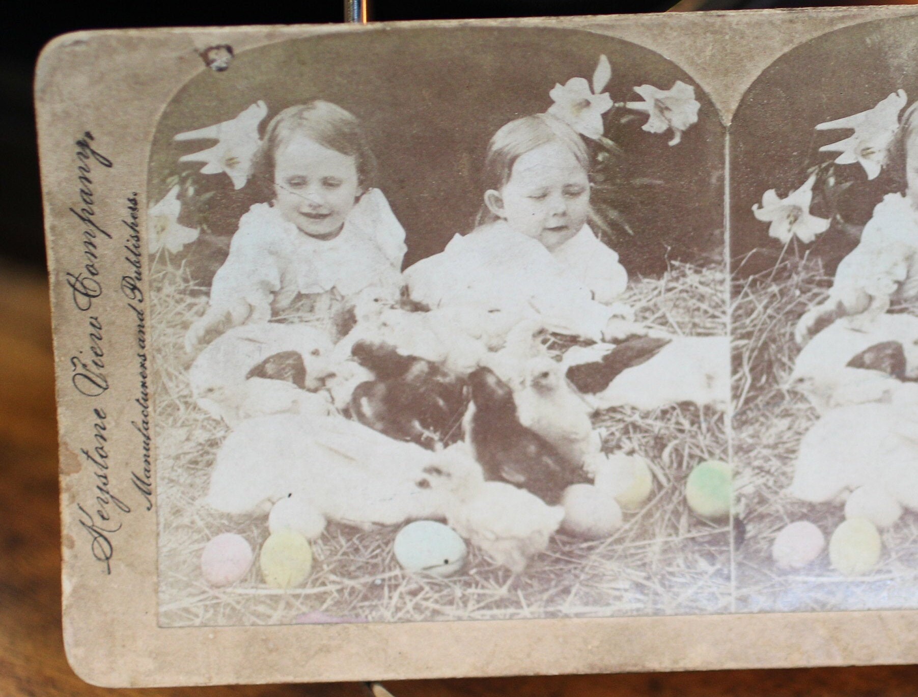 Antique 1899 Keystone View Company Easter Stereoview Children Bunnies ...