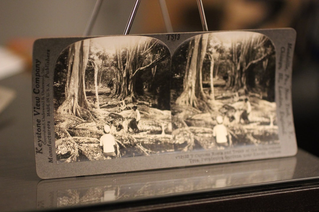 Antique Ceylon Rubber Trees Stereoscope Card - Keystone View Company - Etsy