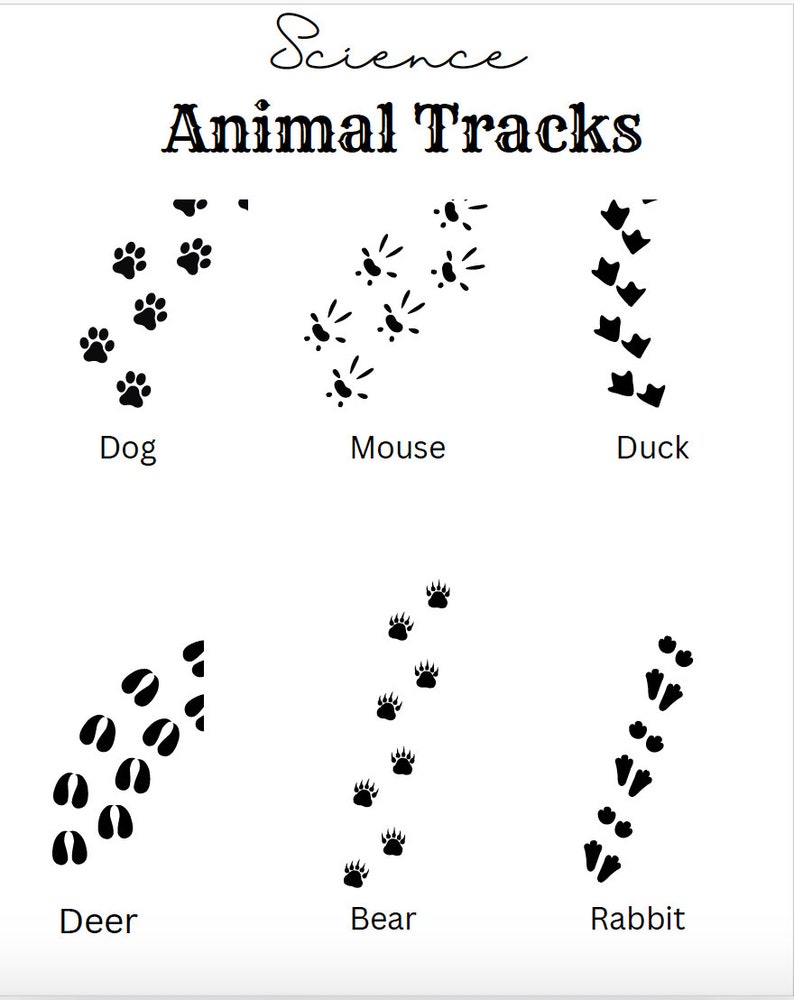 Sugar Snow Little House on the Prairie Homeschool Charlotte Mason ...