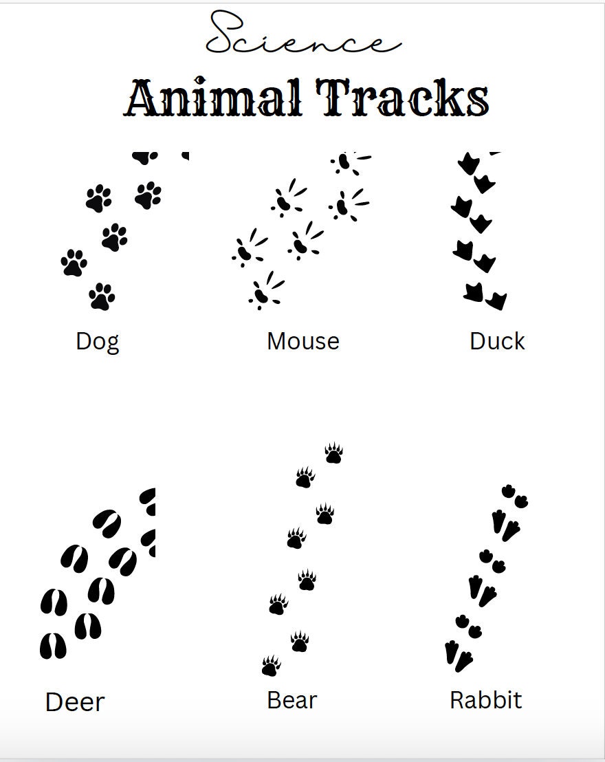Sugar Snow Little House on the Prairie Homeschool Charlotte Mason ...