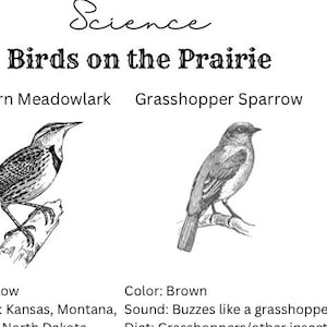 Prairie Day Little House on the Prairie Homeschool Charlotte Mason ...